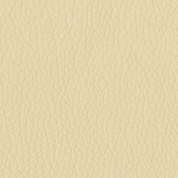 Dillon Buff - DuraCare Seating Company